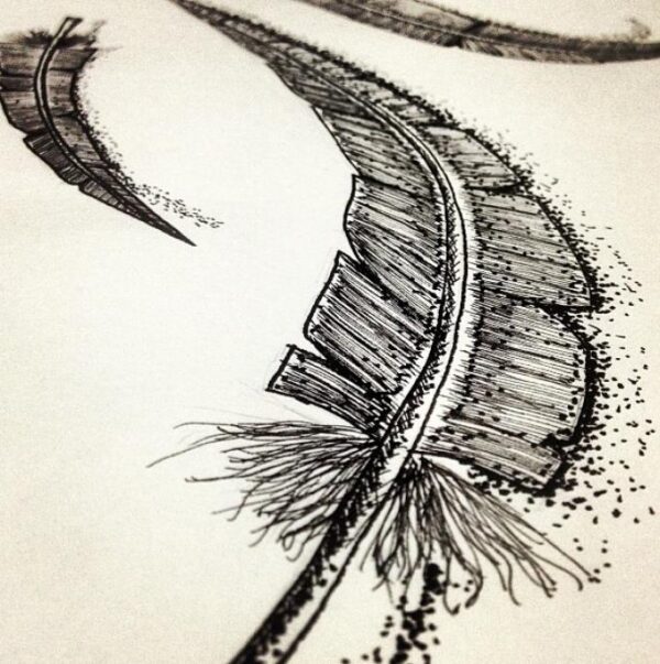 Hogyan rajzoljunk tollal? – Tollrajz, tusrajz - Művészház.com – jobb ...