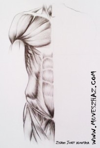 Ember rajz 2. rész - A másik 2 titok - Művészház.com – jobb agyféltekés ...