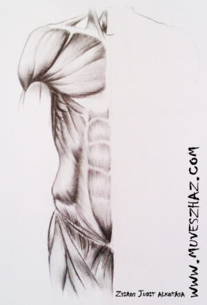 Ember rajz 2. rész - A másik 2 titok - Művészház.com – jobb agyféltekés ...