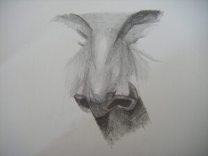 Orr rajzolása lépésről-lépésre - Művészház.com – jobb agyféltekés ...