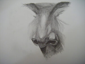 Orr rajzolása lépésről-lépésre - Művészház.com – jobb agyféltekés ...