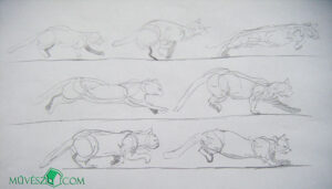 Macska rajzolása - mozdulatok - Művészház.com – jobb agyféltekés ...