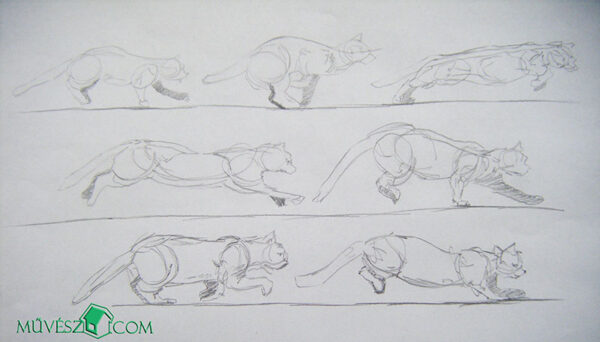 Macska rajzolása - mozdulatok - Művészház.com – jobb agyféltekés ...