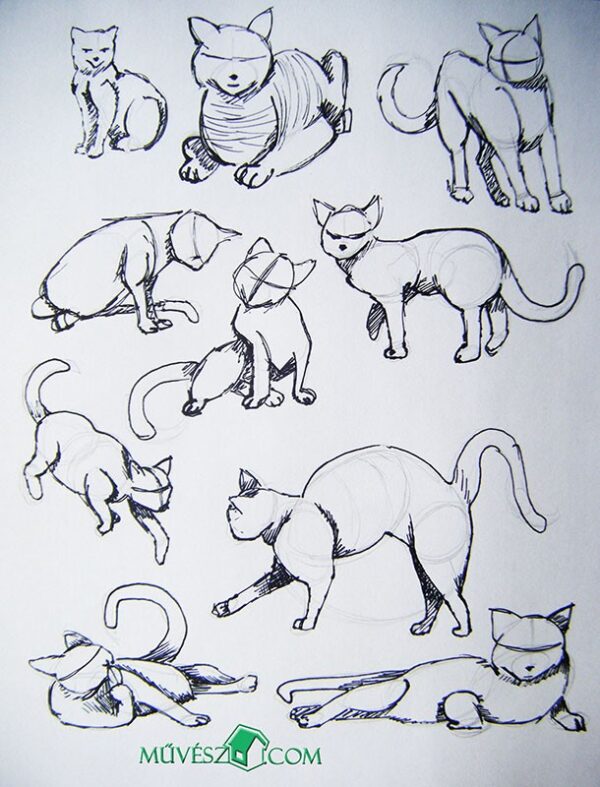 Macska rajzolása - mozdulatok - Művészház.com – jobb agyféltekés ...