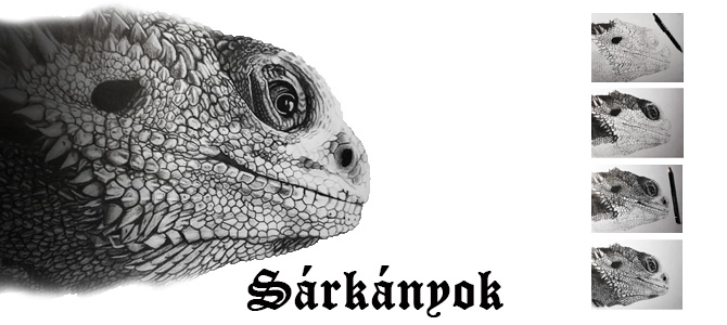 Sárkány rajzok, sárkányos képek + 1 videó;) - Művészház.com – jobb ...