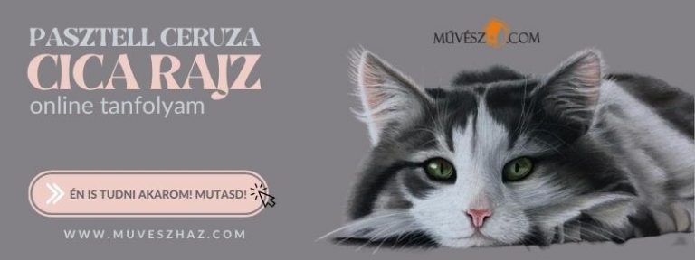 Cica rajz lépésről-lépésre kezdő rajzosoknak - Művészház.com – jobb ...