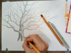 Fa rajz – mitől lesz igazán élethű és természetes? - Művészház.com ...