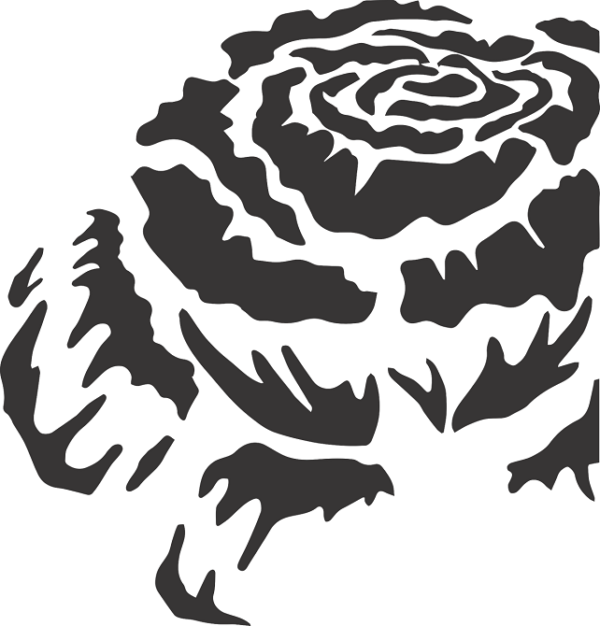 Rózsa rajz – hogyan rajzold meg a virágok királynőjét? - Művészház.com ...