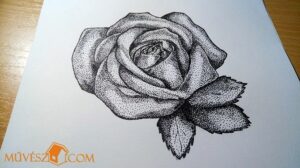 Rózsa rajz – hogyan rajzold meg a virágok királynőjét? - Művészház.com ...