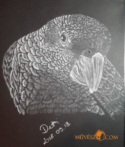 Tollászkodjunk! – madár rajz többféleképpen - Művészház.com – jobb ...