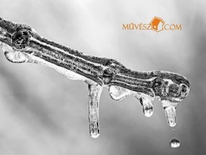 Tanuljunk rajzolni - másképp! www.muvszehaz.com