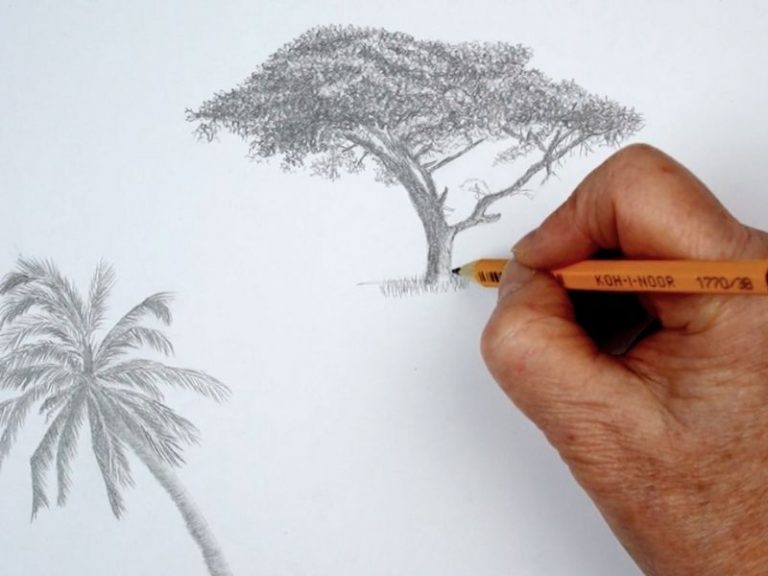 Fa rajz a levelektől a termésekig Online Rajz