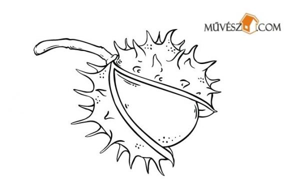 Gesztenye rajz két féle rajztechnikával