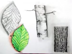 Levél rajz - Művészház.com – jobb agyféltekés rajztanfolyam, jobb ...