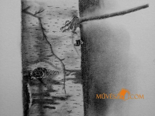 Tájkép rajz - Művészház.com – jobb agyféltekés rajztanfolyam, jobb ...